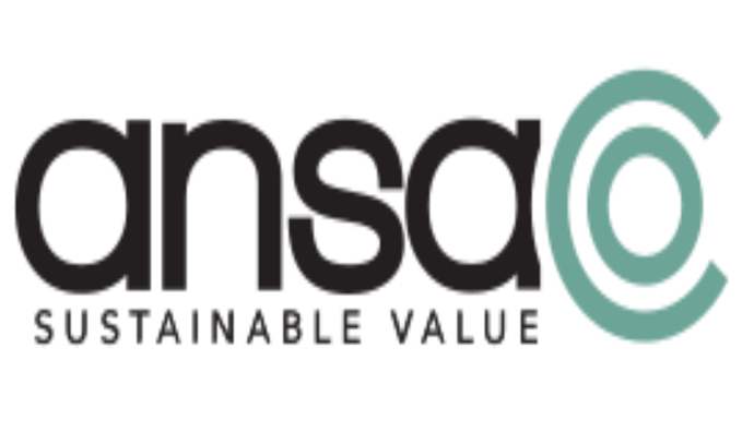 Ansa | On Purpose