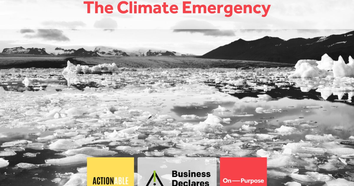 The Climate Emergency in the time of a pandemic: What you can do about ...